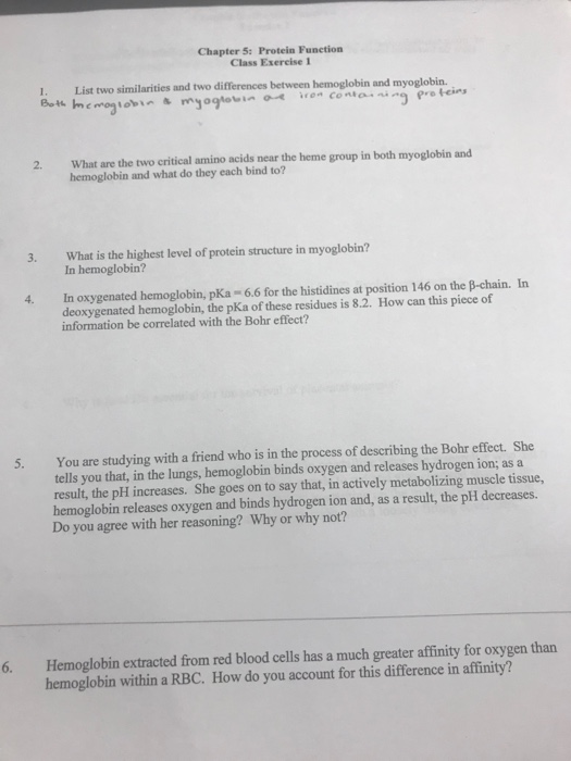 Solved Chapter 5: Protein Function Class Exercise 1 1. List | Chegg.com