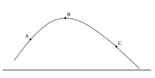 Solved Particularly what is happing with the motion in x and | Chegg.com
