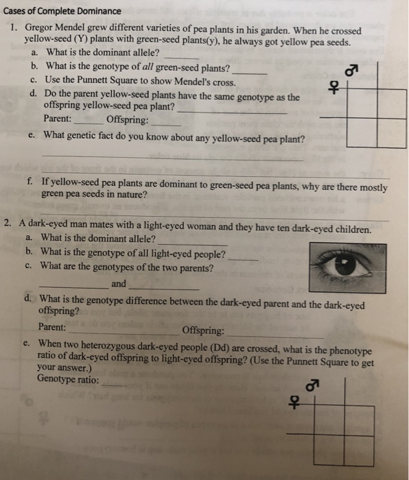 Solved Cases of Complete Dominance 1. Gregor Mendel grew | Chegg.com