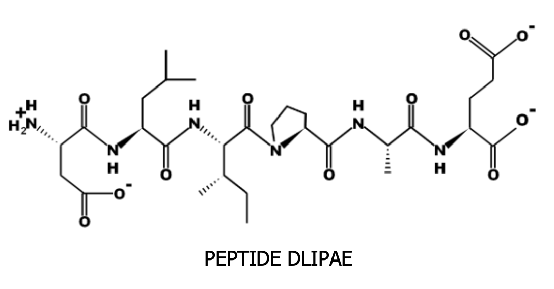 Solved BIOCHEMISTRY Using an arrow, draw the site of | Chegg.com