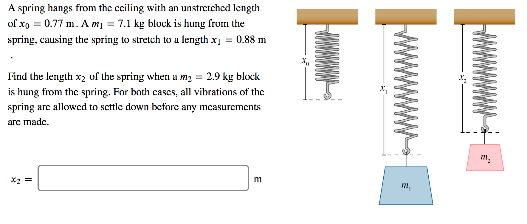 Solved A spring hangs from the ceiling with an unstretched | Chegg.com