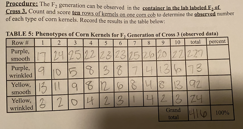 Solved Procedure: The F, generation can be observed in the | Chegg.com