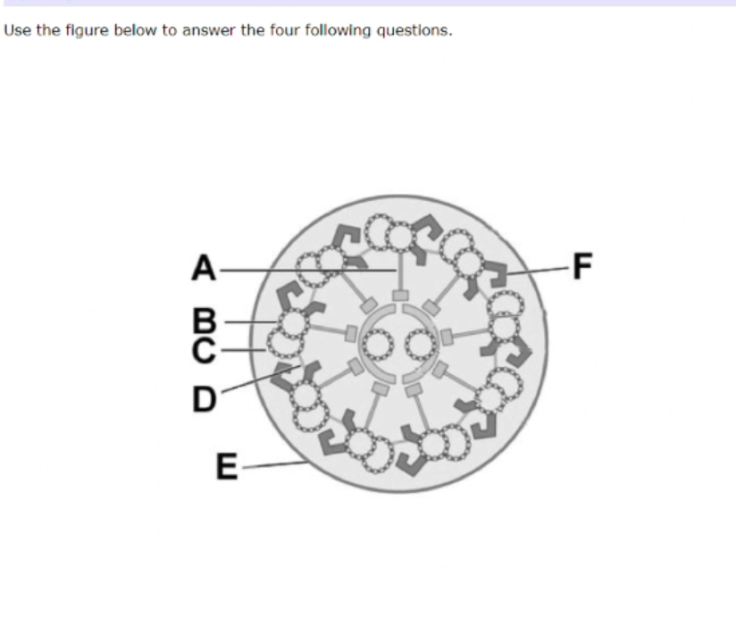 Solved Use the figure below to answer the four following | Chegg.com