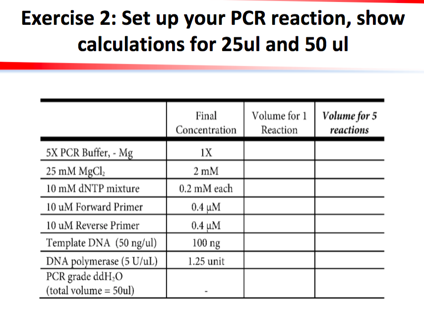 Solved Exercise 2: Set up your PCR reaction, show | Chegg.com