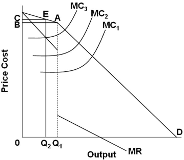 Solved On the above graph, if the oligopolist's MC curve | Chegg.com