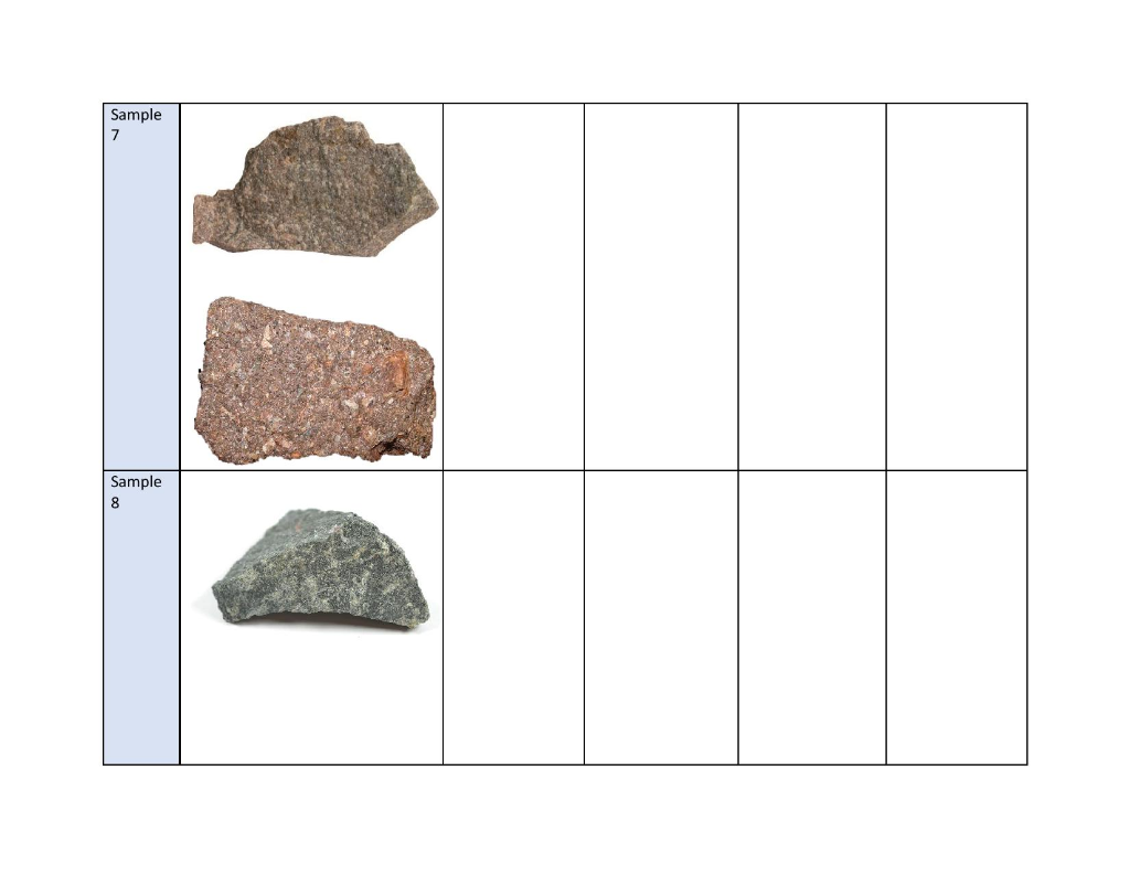Solved Identification Activity Based on the image, please | Chegg.com
