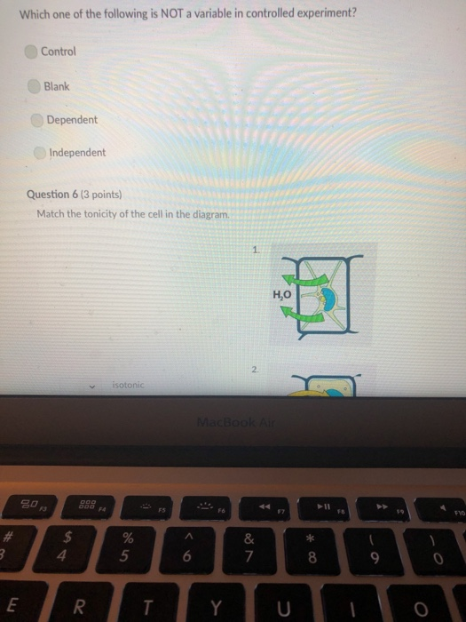 solved-which-one-of-the-following-is-not-a-variable-in-chegg