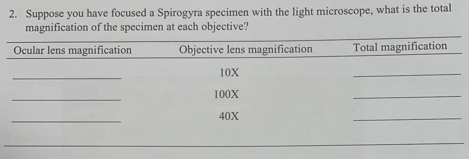 Solved 2. Suppose you have focused a Spirogyra specimen with | Chegg.com