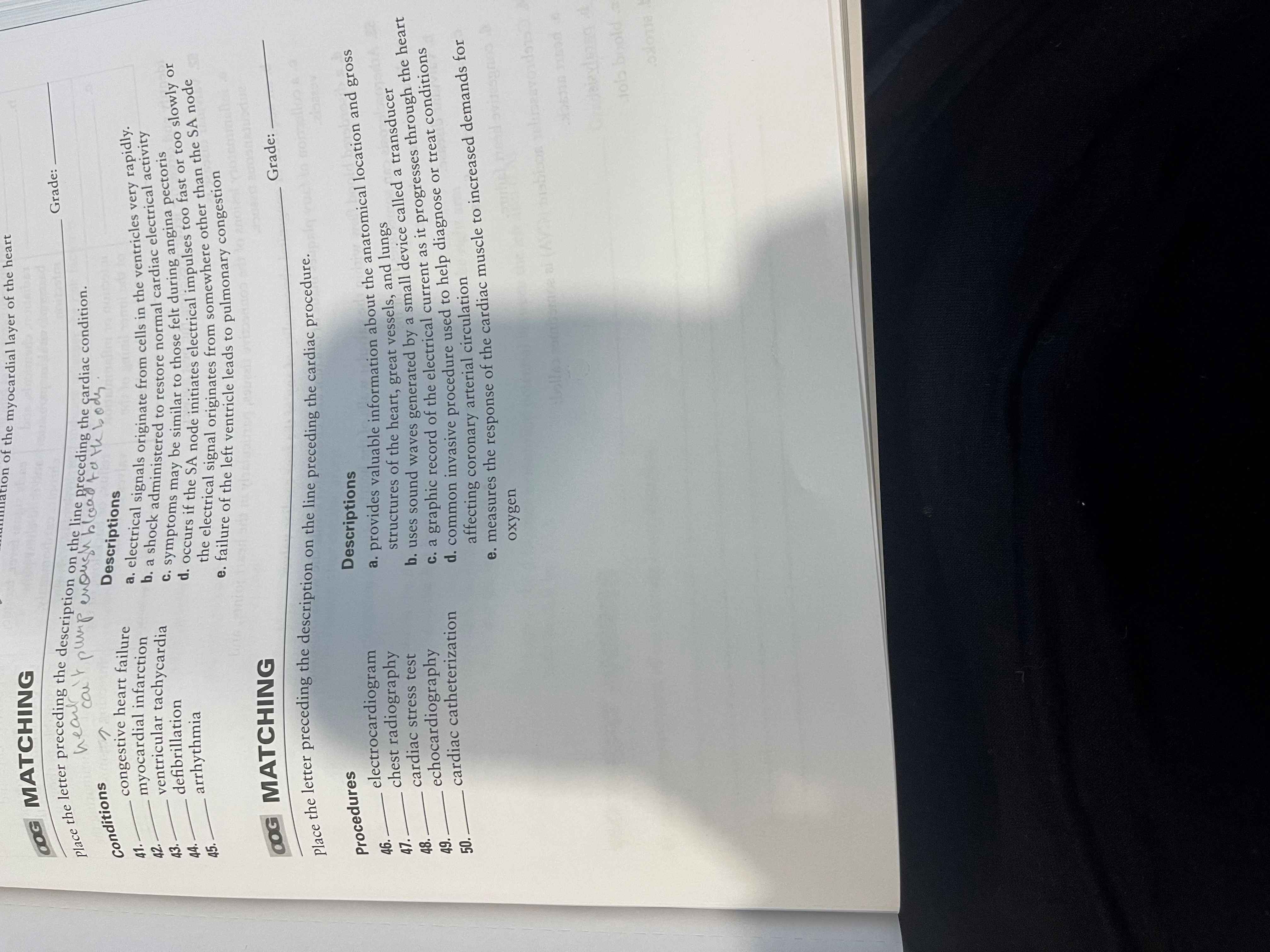 Solved Grade: place the letter preceding the description on | Chegg.com