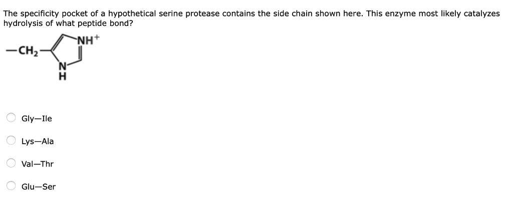 Solved The specificity pocket of a hypothetical serine | Chegg.com