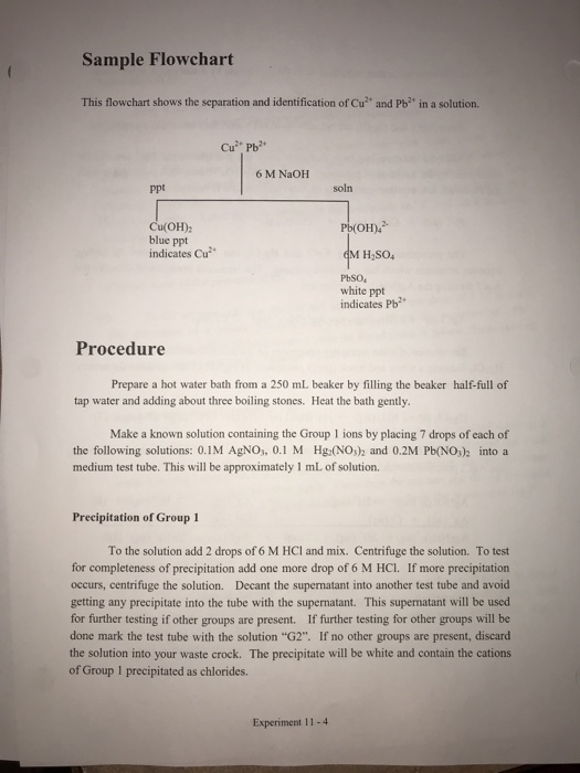 Solved Experiment 11 ualitative Analysis of Group 1 Cations | Chegg.com