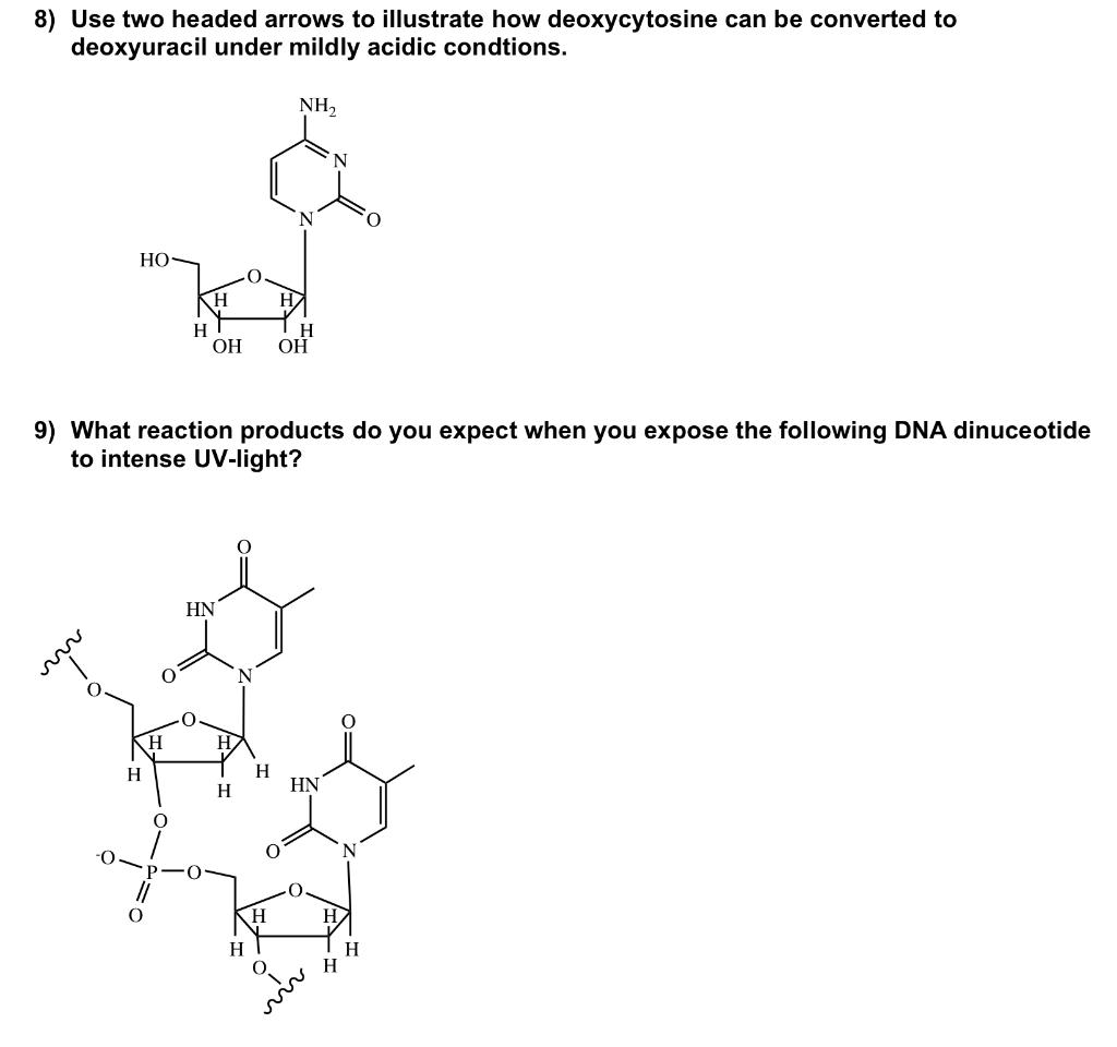 Solved 8) Use two headed arrows to illustrate how | Chegg.com