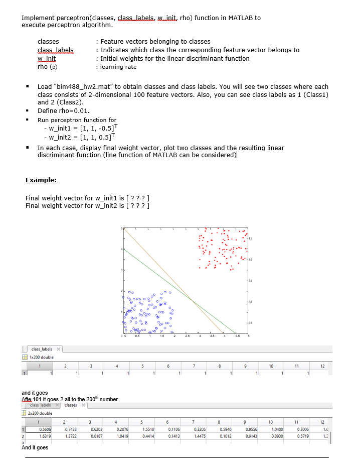 Solved classes class dabels w init rho (ρ) : Feature | Chegg.com
