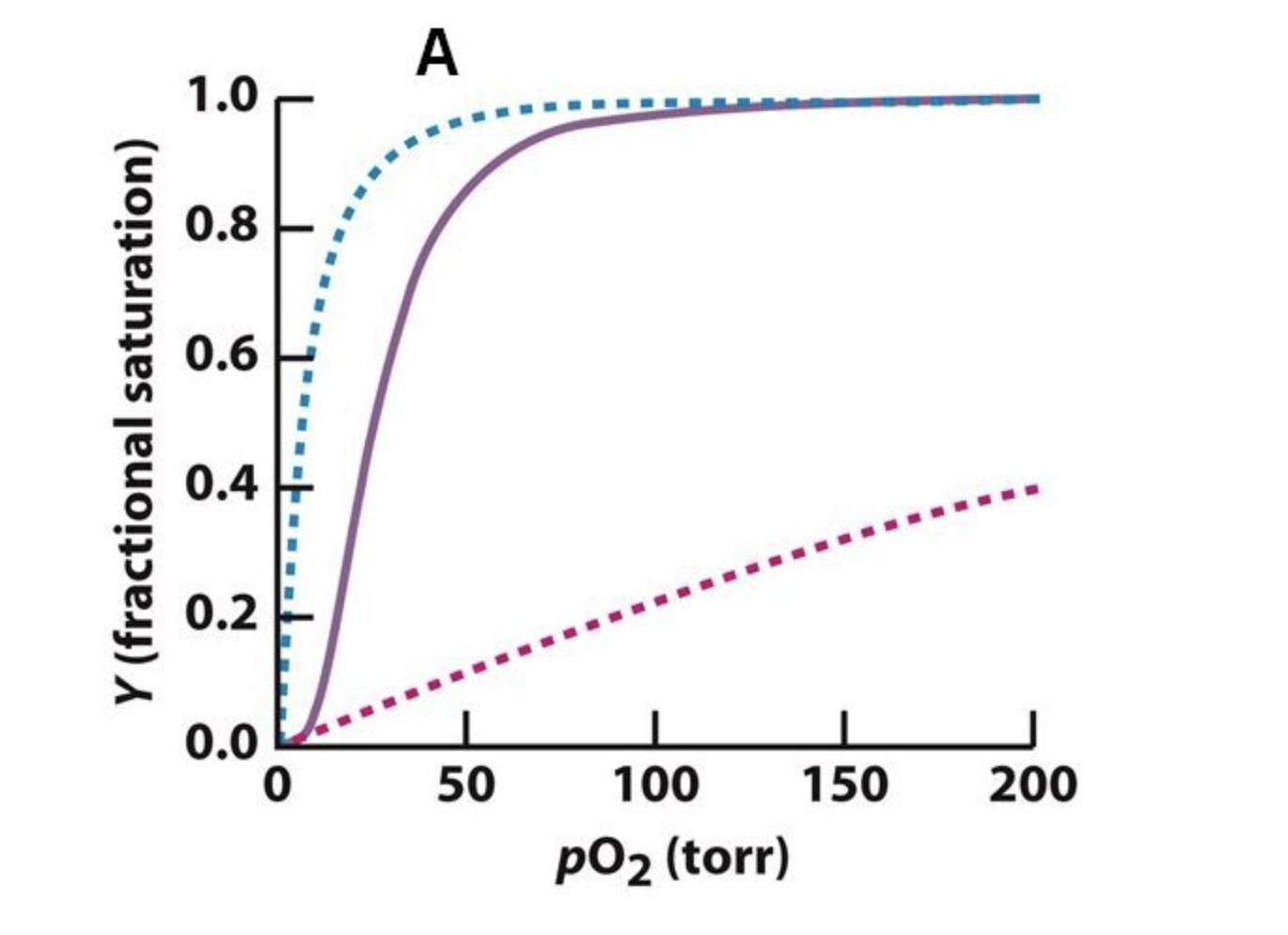 Solved A Y (fractional saturation) 0 50 1 100 150 pO2 (torr) | Chegg.com