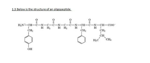 Solved 1.3 Below is the structure of an oligopeptide. HI | Chegg.com