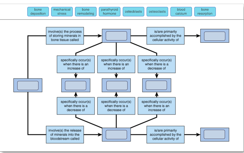Solved bone deposition bone remodeling parathyroid hormone | Chegg.com