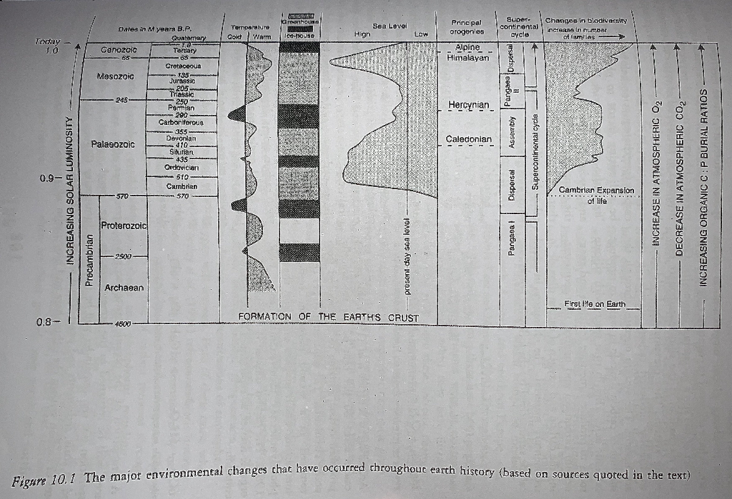 Solved Based on Figure 10.1, briefly explain the general | Chegg.com