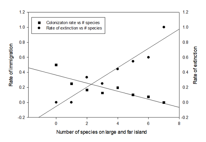 Solved How would you find the equilibria of species using | Chegg.com