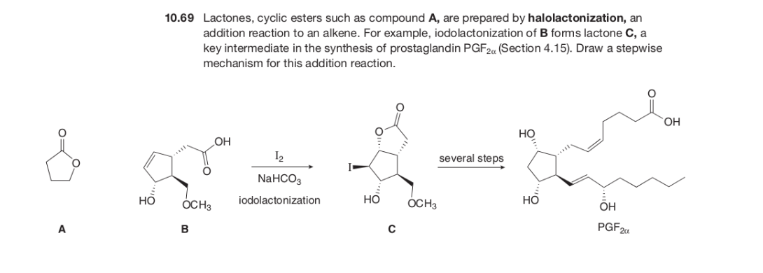 Solved 10.69 Lactones, cyclic esters such as compound A, are | Chegg.com