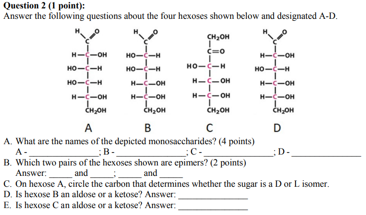 Solved Question 2 (1 point): Answer the following questions | Chegg.com