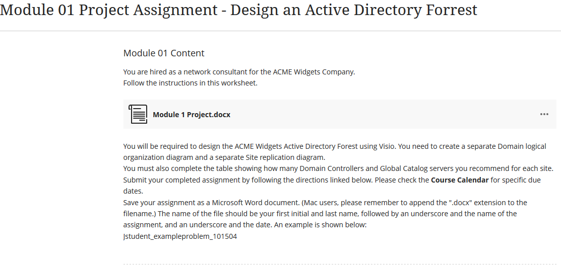 Solved Module 01 Project Assignment - Design an Active | Chegg.com
