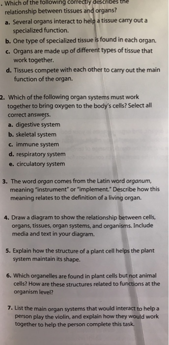 Plants Organ Systems And Functions