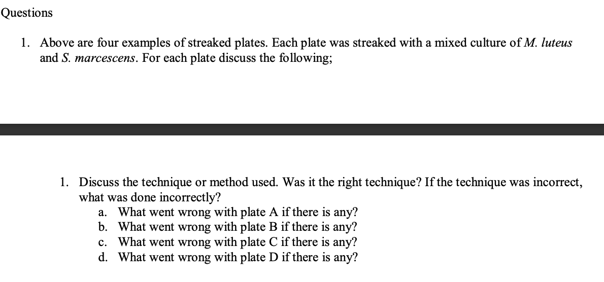 Solved Please answer my questions correctly & ASAP! Be | Chegg.com