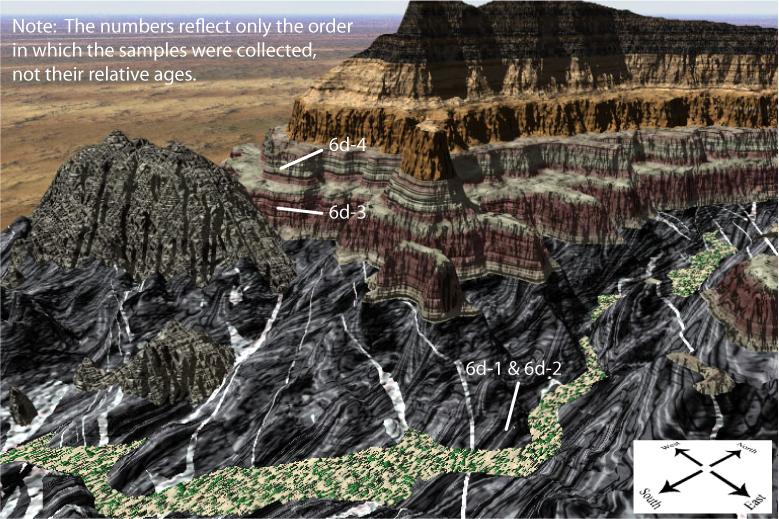 Solved Module 8. Reconstructing Geologic History Worksheet | Chegg.com