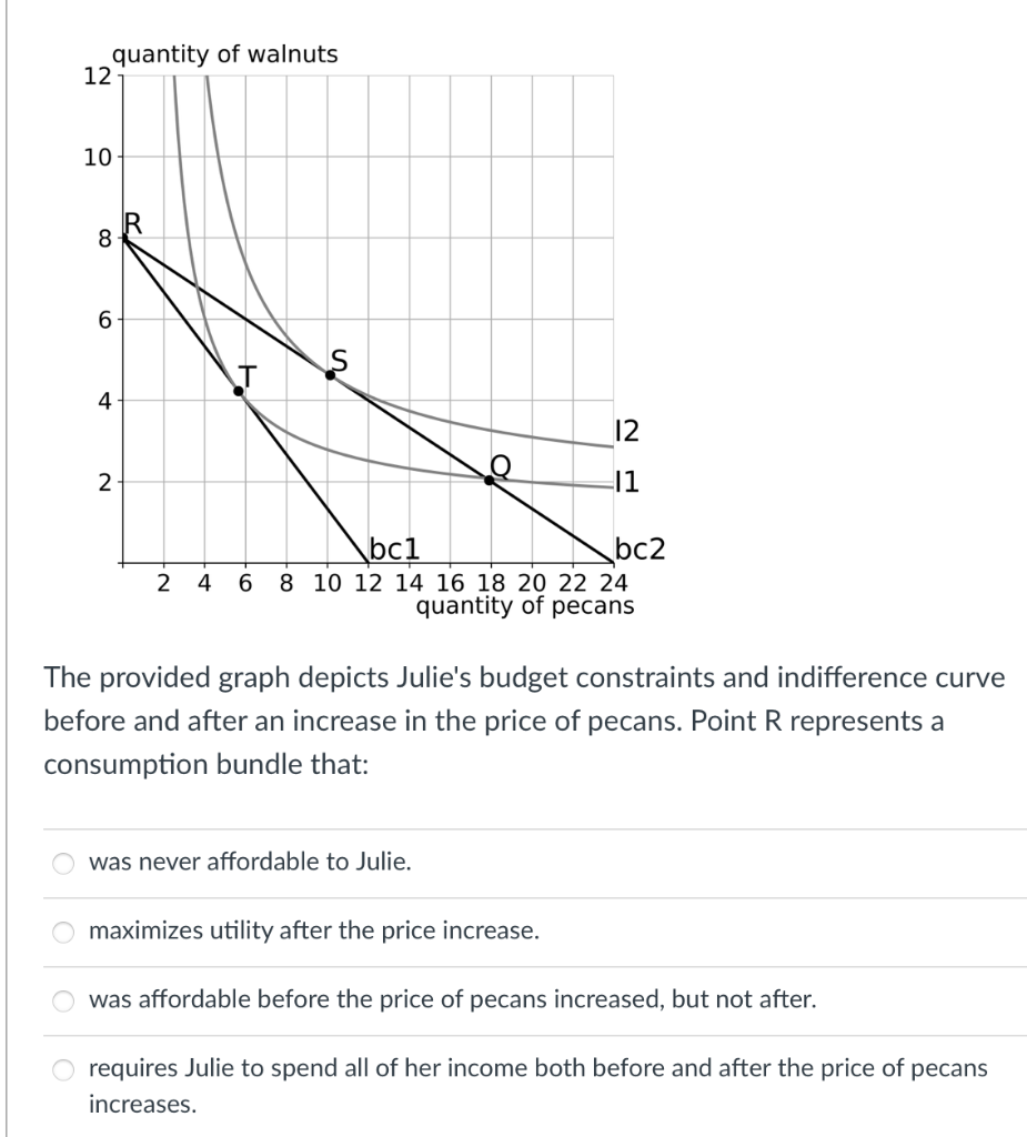 Solved The provided graph depicts Julie's budget constraints | Chegg.com