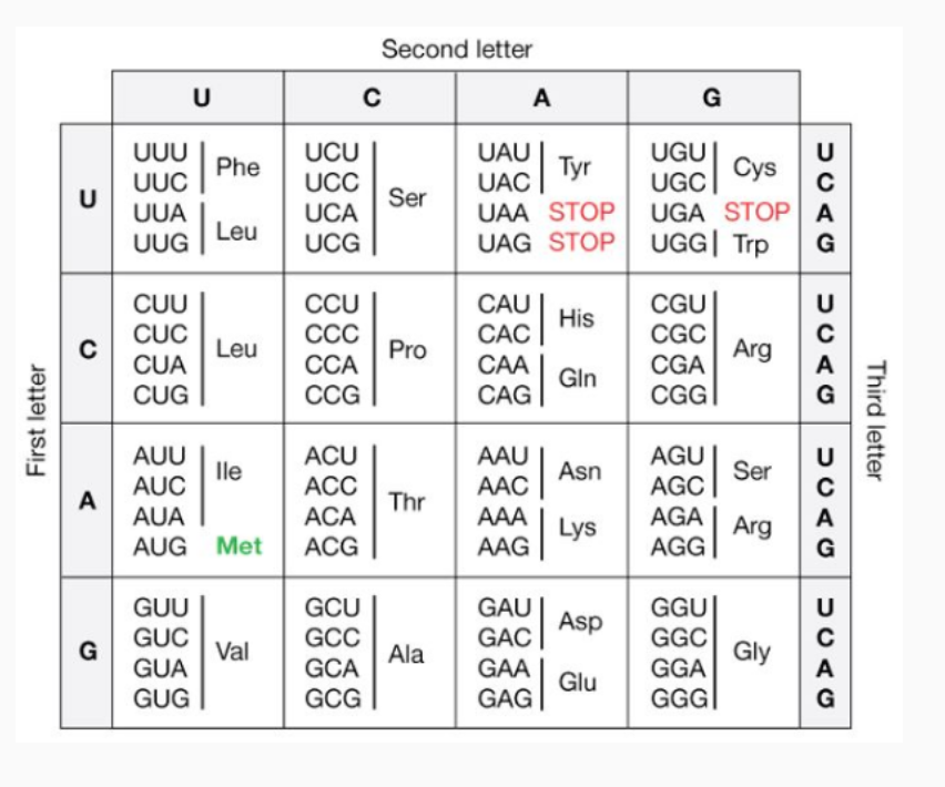 Solved Which statement about microRNA molecules is true? | Chegg.com