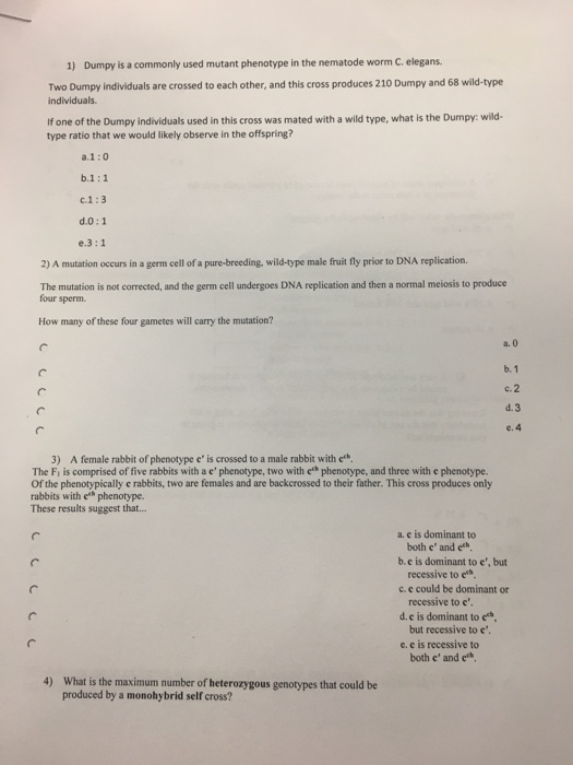 Solved 1) Dumpy is a commonly used mutant phenotype in the | Chegg.com