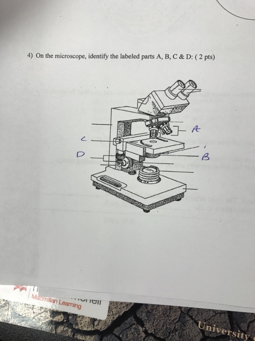 Solved On the microscope, identify the labeled parts A, B, C | Chegg.com