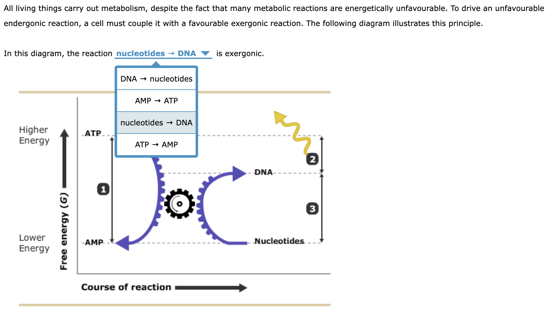Solved All living things carry out metabolism, despite the | Chegg.com
