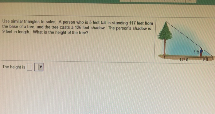 Solved Use similar triangles to solve. A person who is 5 | Chegg.com