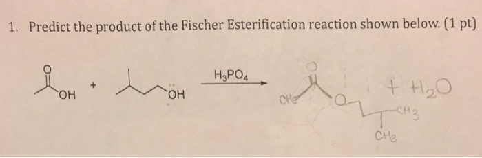 Solved Predict the product of the Fischer Esterification | Chegg.com