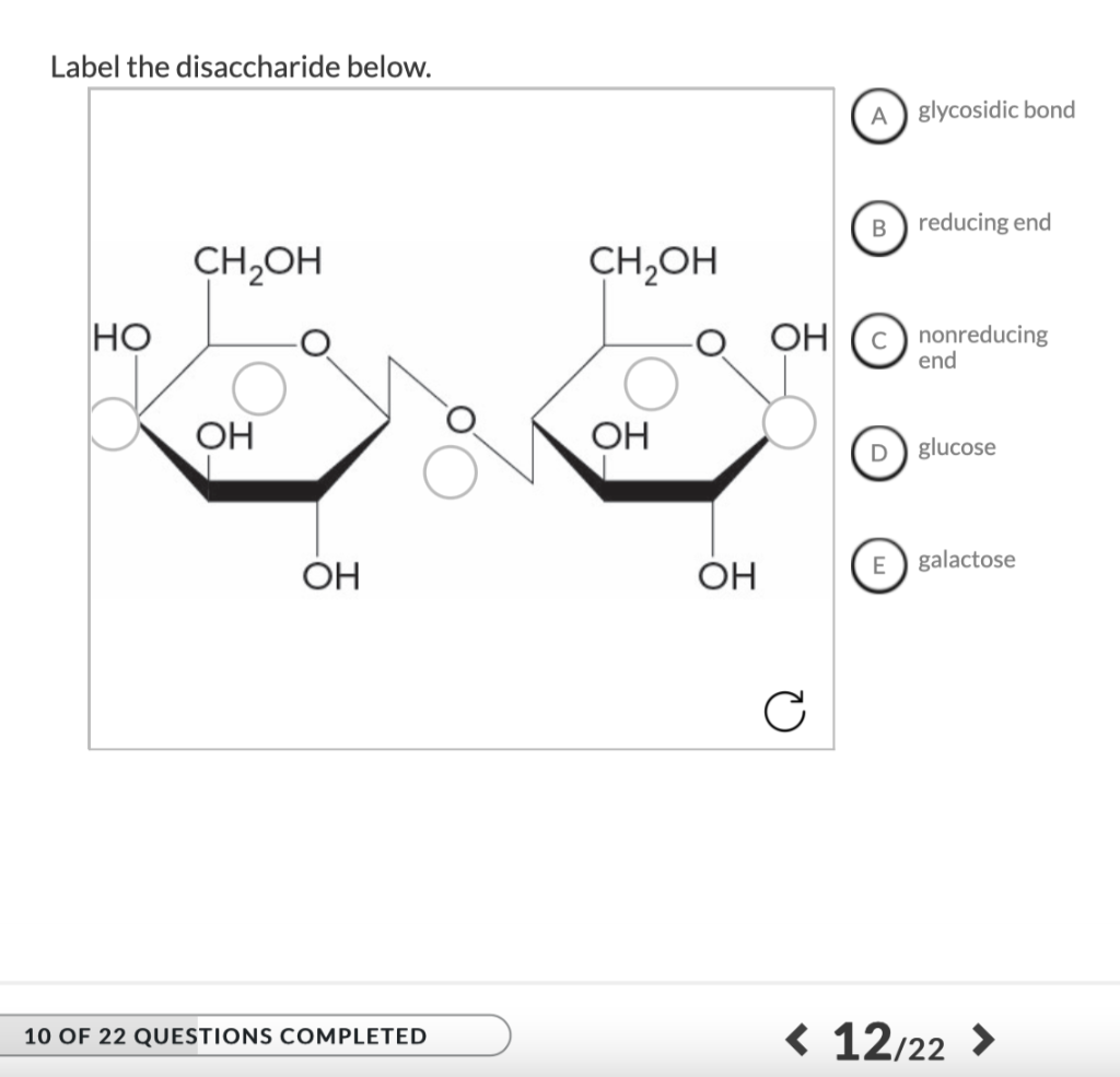 Solved Label the disaccharide below. A glycosidic bond B) | Chegg.com