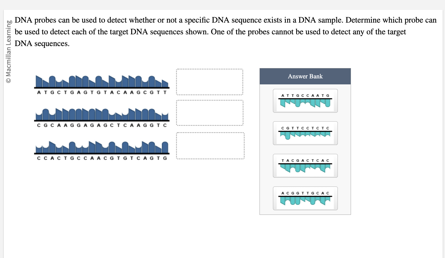 Solved ?0 ﻿DNA probes can be used to detect whether or not a | Chegg.com