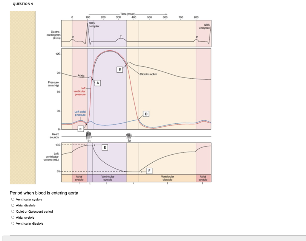Solved Period when bl Ventricular systole Atrial diastole | Chegg.com