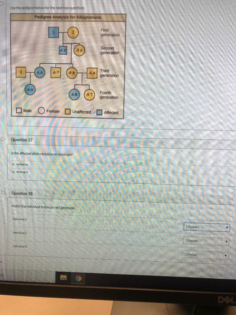 Solved Use the pedigree below for the next two questions, | Chegg.com