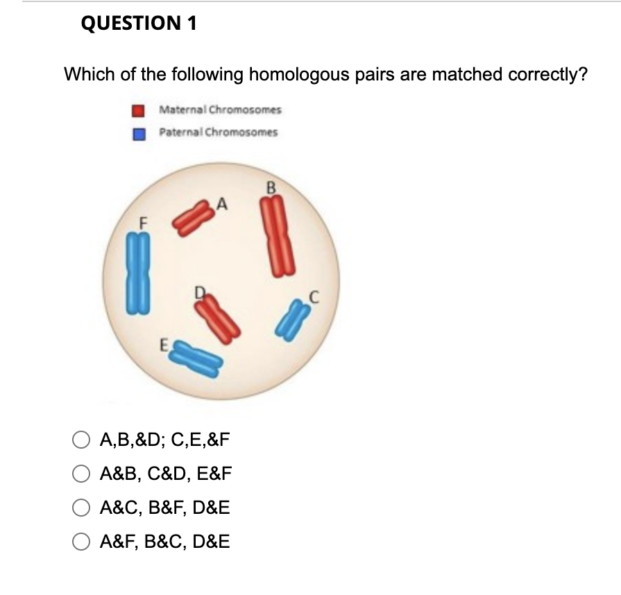 Solved Which of the following homologous pairs are matched | Chegg.com