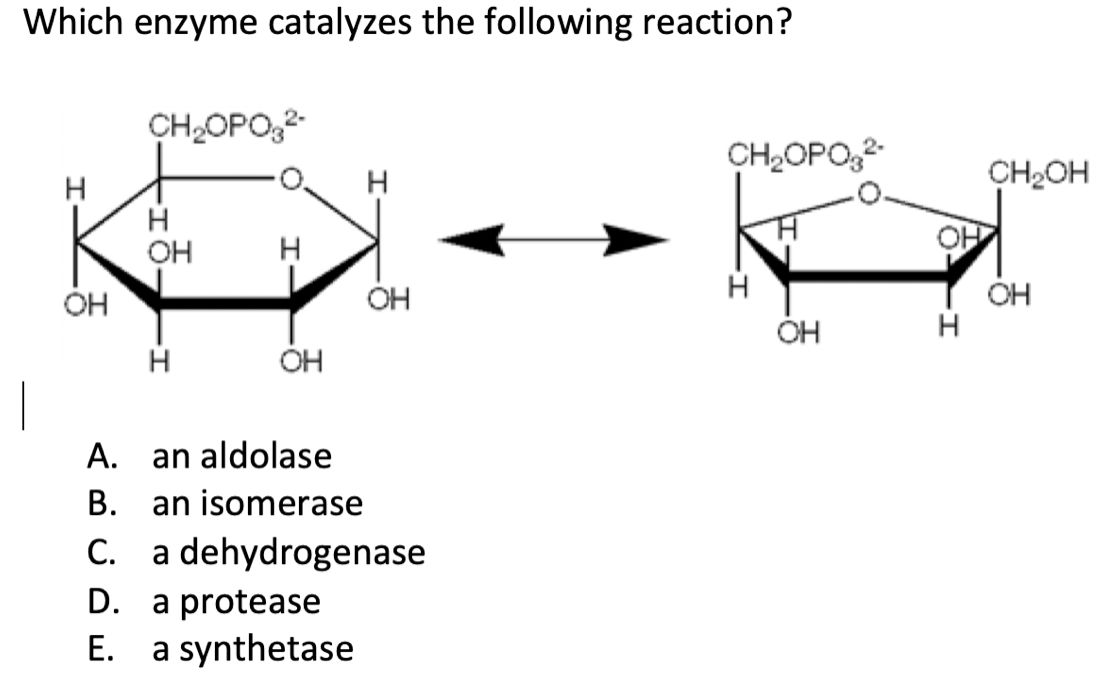 Solved Which enzyme catalyzes the following reaction? A. an | Chegg.com