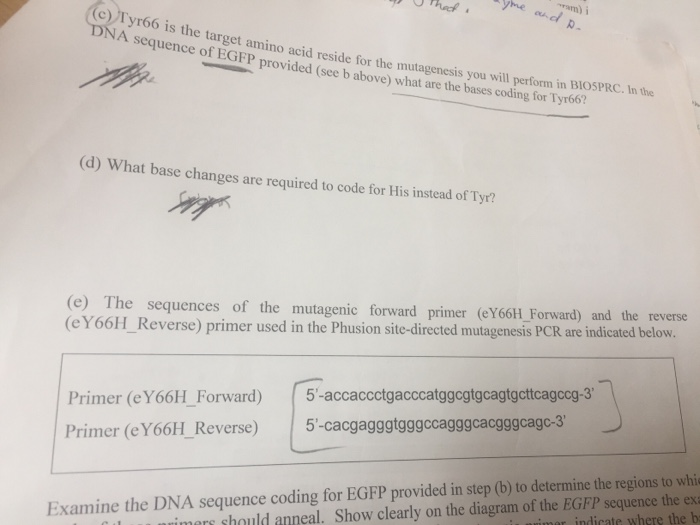 Solved Can you answer all questions ASAP | Chegg.com