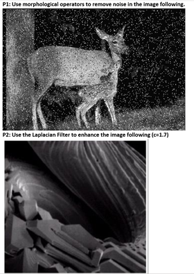 P1: Use morphological operators to remove noise in | Chegg.com