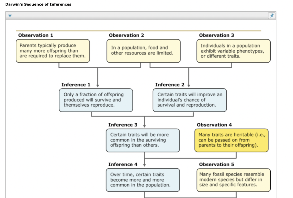 Solved 1. Mechanisms of evolutionary change Jean-Baptiste | Chegg.com