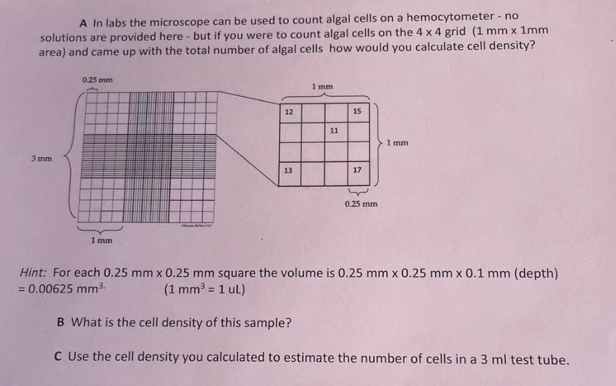 Solved A In labs the microscope can be used to count algal | Chegg.com
