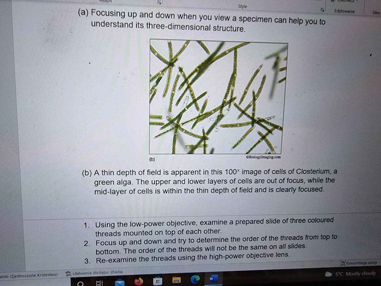 Solved Zaznacz 2 Edytowanie Akapit Style Exercise 4: | Chegg.com
