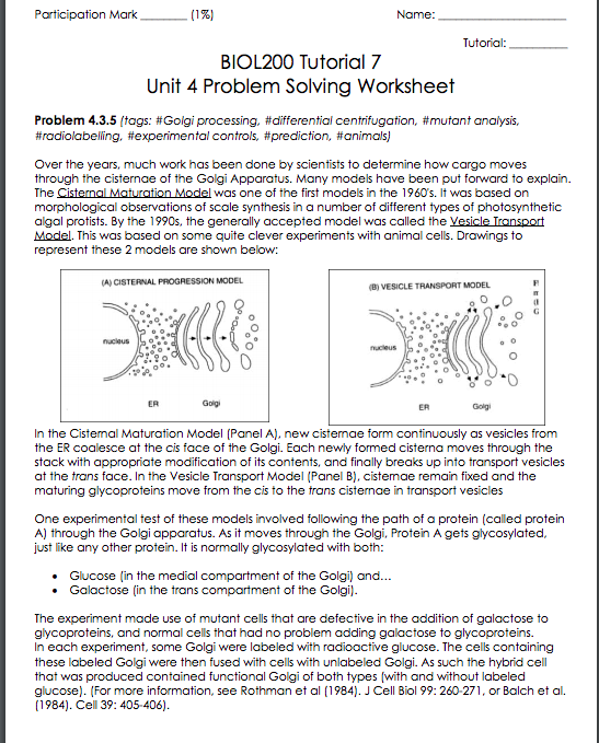 Solved Participation Mark (1%) Name: Tutorial: BIOL200 | Chegg.com