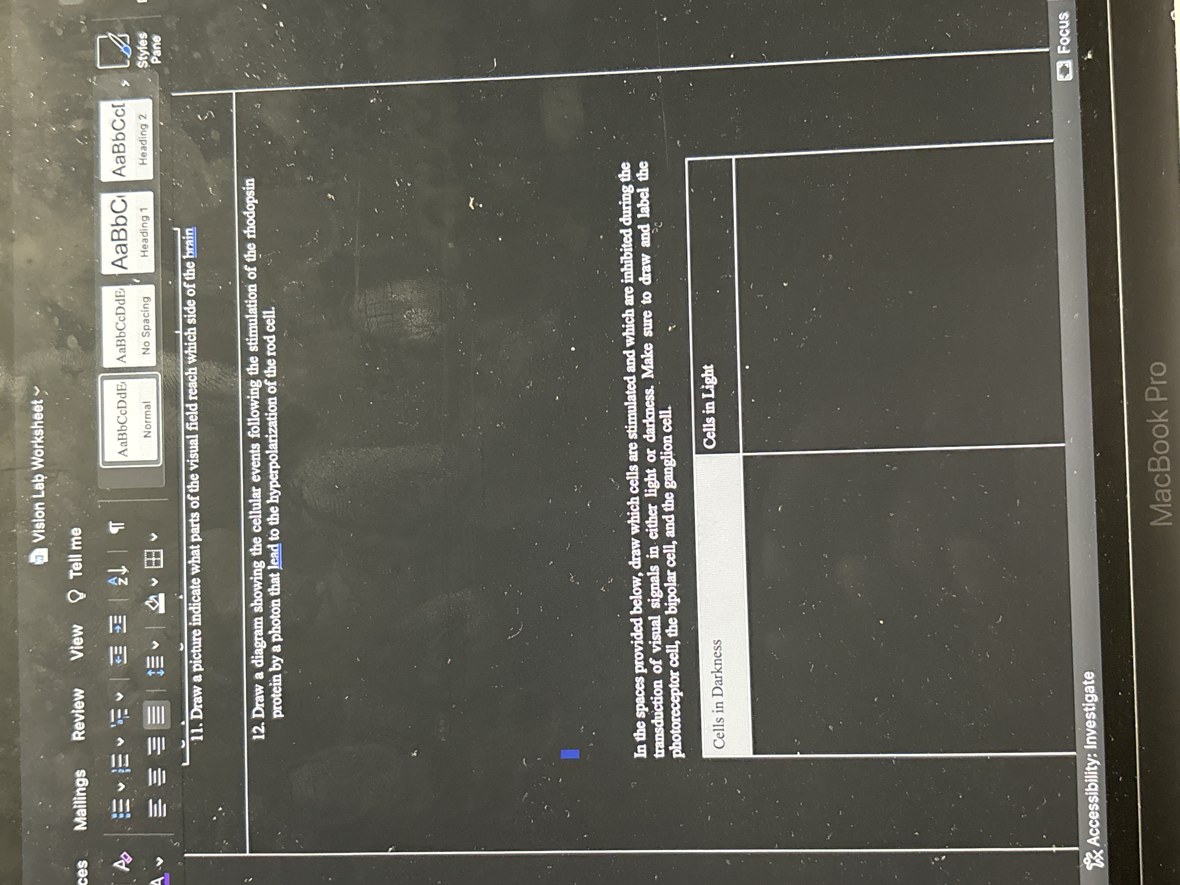 Draw a picture indicate what parts of the visual | Chegg.com