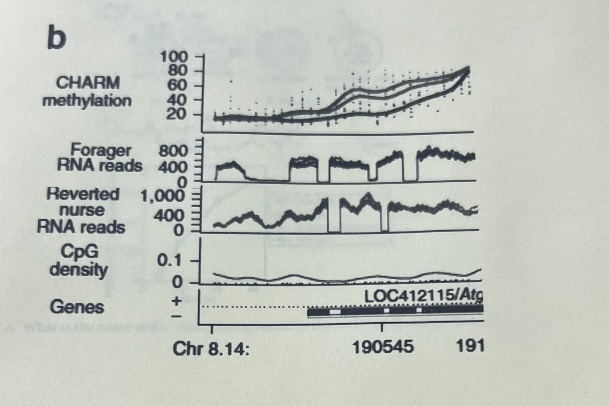 1. What is a DMR? 2. Draw a box around a region in | Chegg.com