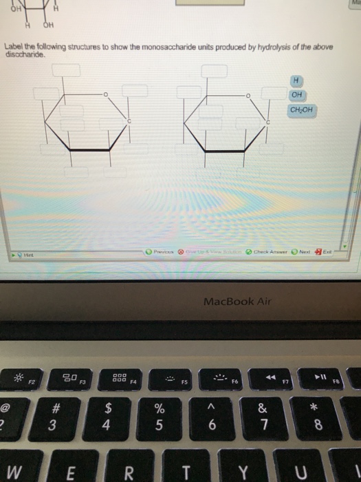 Solved apling Learning Identify the type of glycosidic | Chegg.com Solved apling Learning Identify the type of glycosidic | Chegg.com